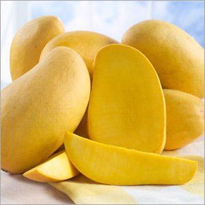 Buy Chaunsa Mango from EXIM MATRIX, India | Tradewheel.com