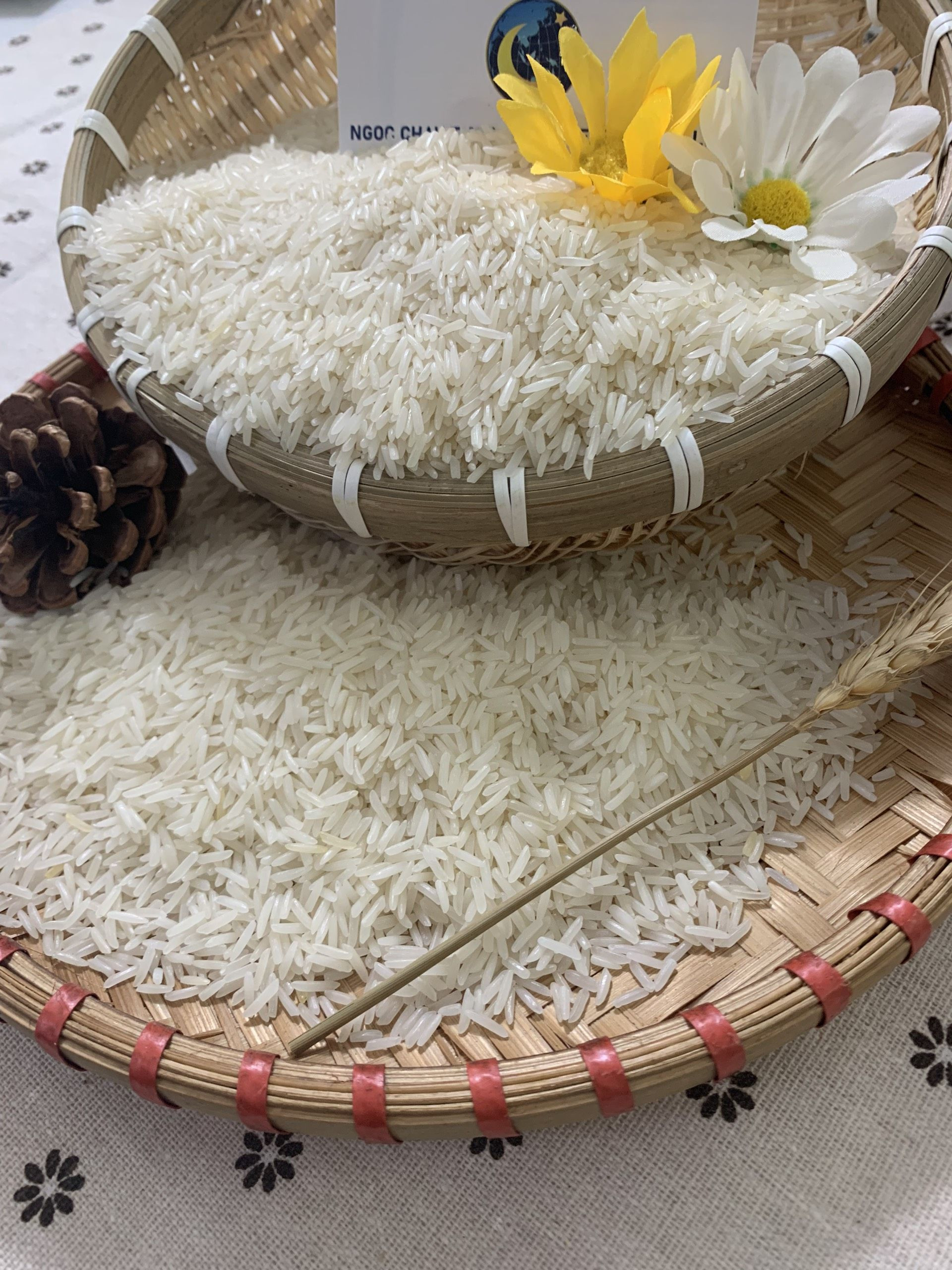 Buy St25 Rice High Quality In Viet Nam Exporter Specialty 100% Organic ...
