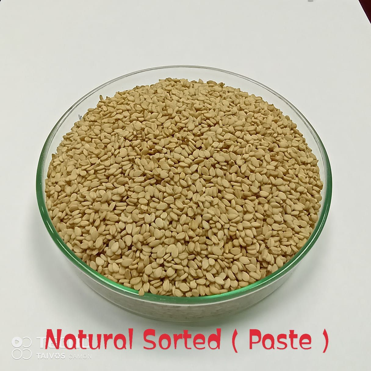 Buy Sorted Natural Sesame Seed from Global Gums & Chemicals Pvt. Ltd ...