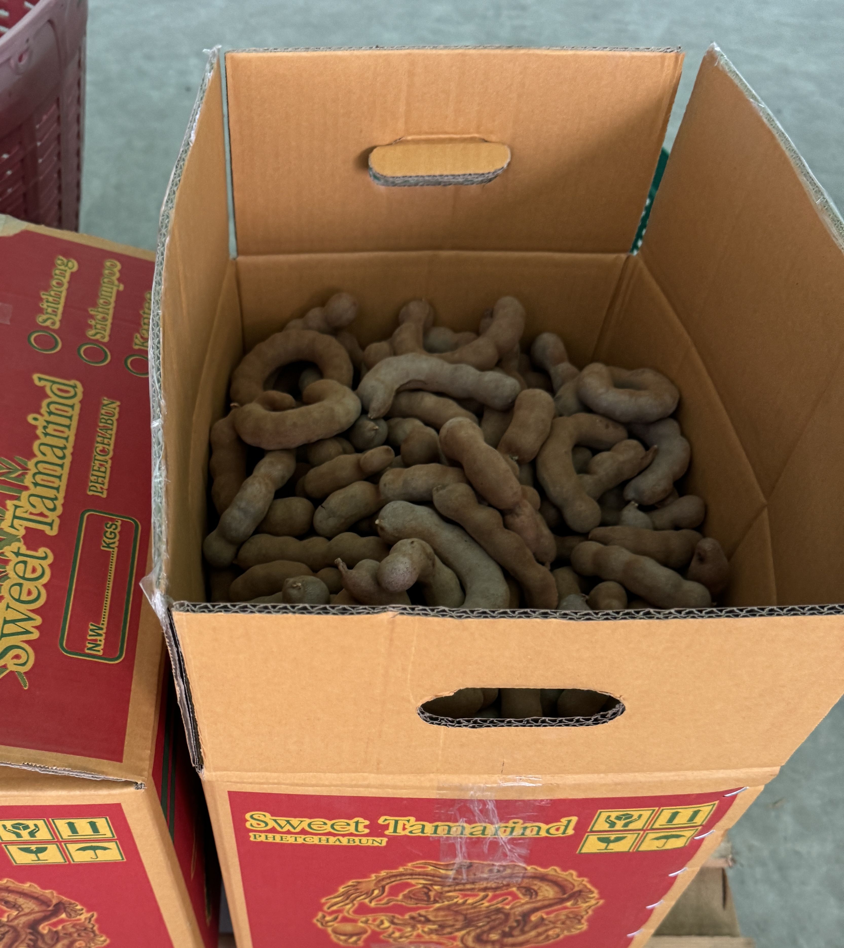 Buy Tamarind from K.D.global fruit Co.,Ltd, Thailand | Tradewheel.com