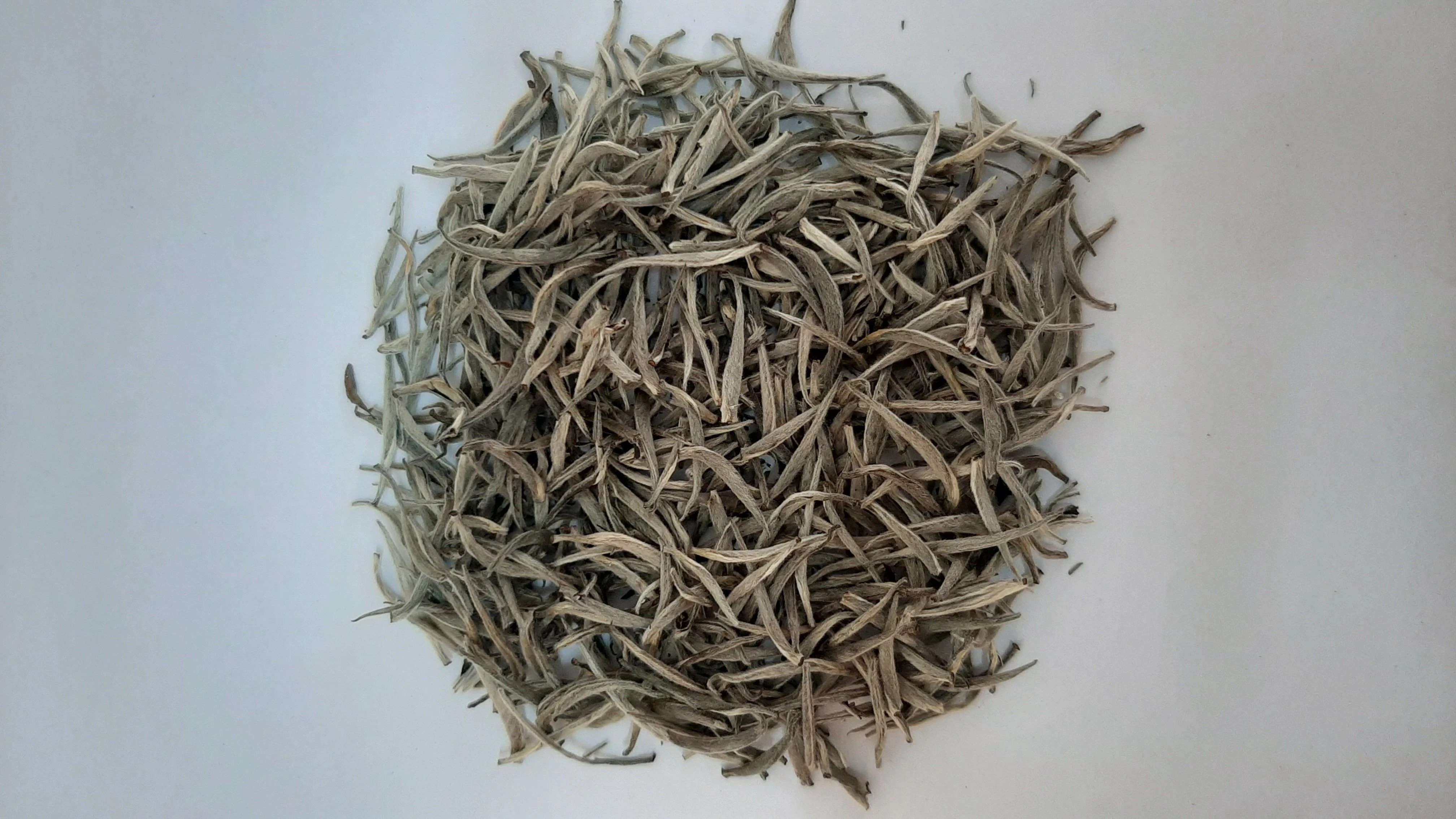 Buy Organic Health White Tea,wholesale High Quality White Tea,bulk ...