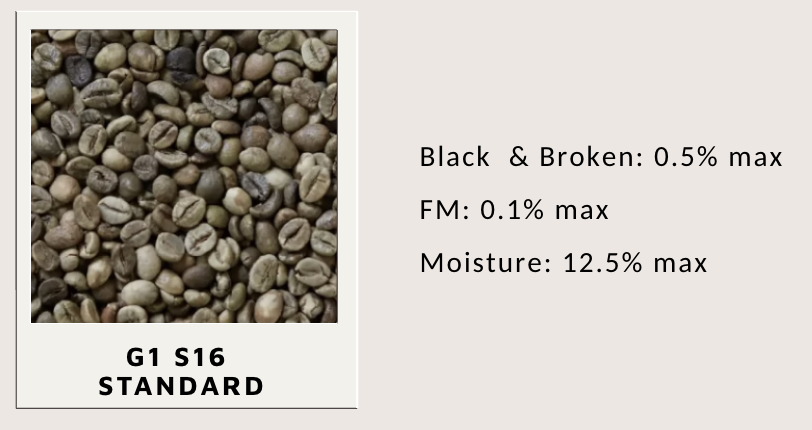 Buy Robusta Green Coffee Bean Grade 1 Screen 16 Standard from Foodmax ...