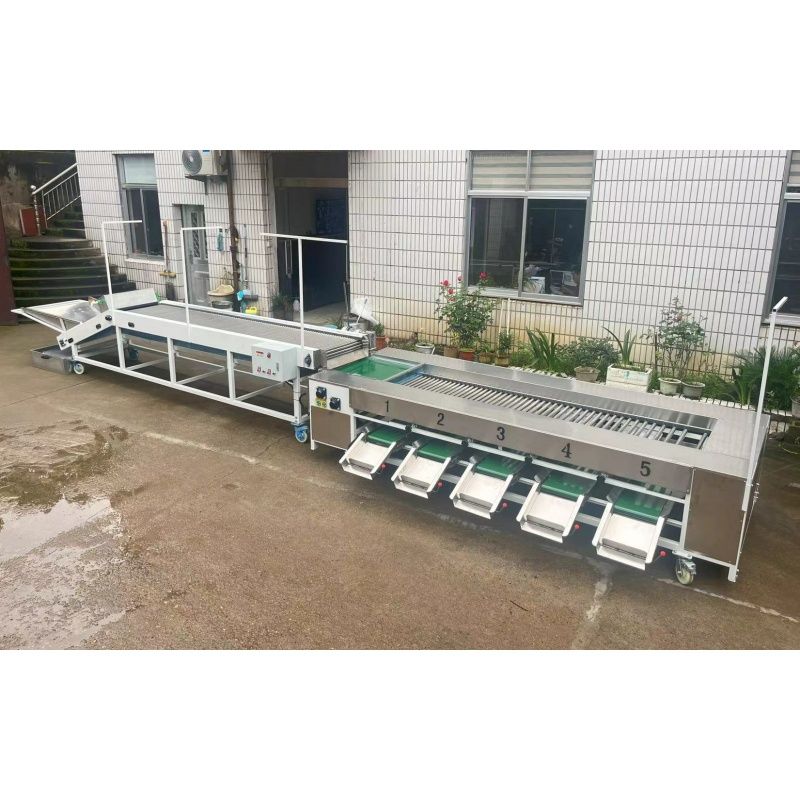 Buy Cherry Tomato Sorting Machine, Cherry Tomato Grading Machine from ...