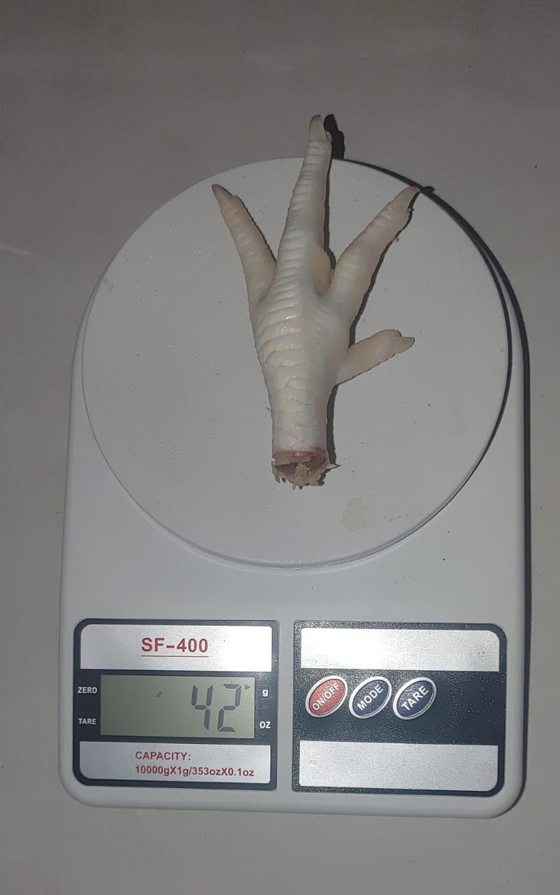 Buy Frozen Chicken Paws 30gms Up From Pakistan from NM corporation ...