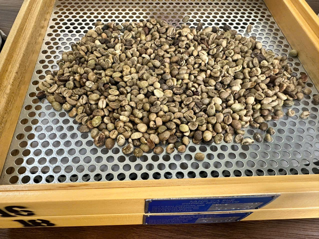 Buy Robusta Green Coffee Bean Grade 1 Screen 16 Standard from Foodmax ...