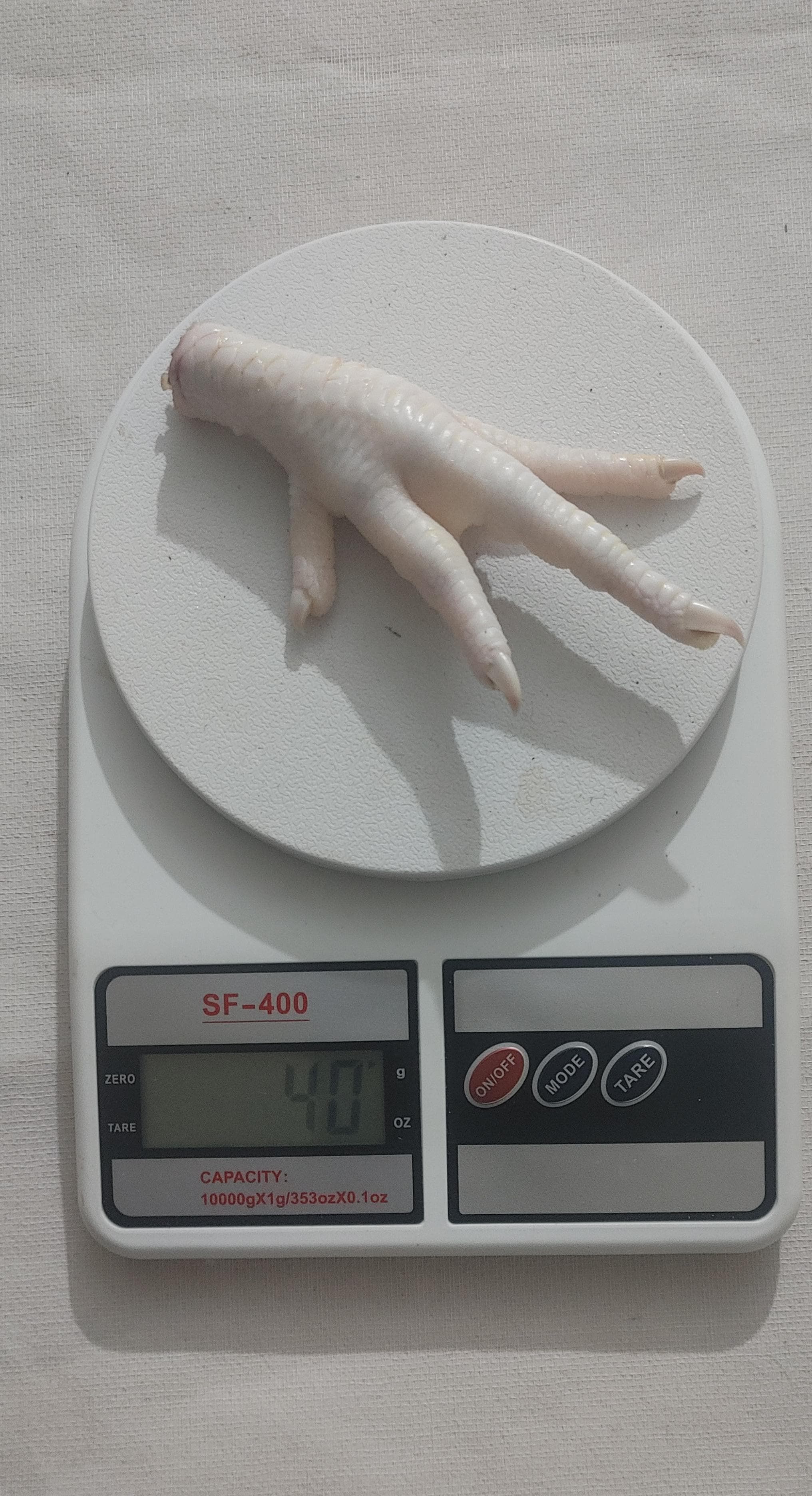 Buy Frozen Chicken Paws 30gms Up From Pakistan from NM corporation ...