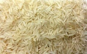 Buy 1121 Basmati Sella Rice from Best Grain Group Rice Mill Pvt. Ltd, Pakistan | Tradewheel.com
