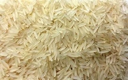 Buy 1121 Basmati Sella Rice from Best Grain Group Rice Mill Pvt. Ltd ...