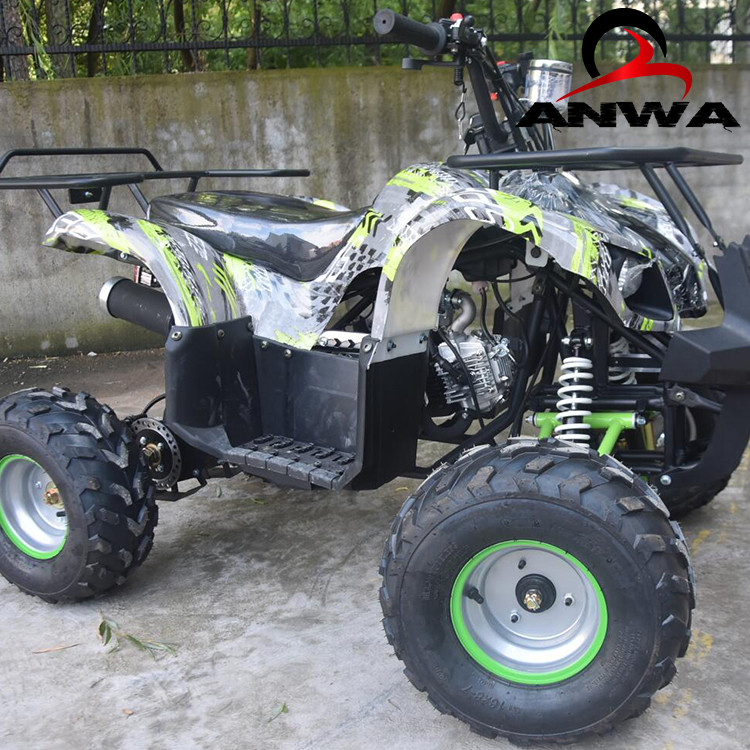 Buy Chinese Professional Gasoline Powered 110cc Atv Sport Quad Atv from ...
