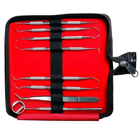 Buy High Carbon Dental Kit 8 Pieces Stainless Steel Dental Tool ...
