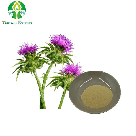Buy High Quality Milk Thistle Extract 80% Silymarin Milk Thistle Powder ...