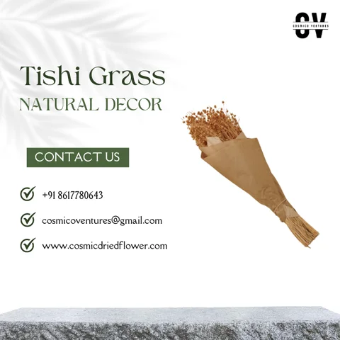 Buy Indoor Decorative Tishi Grass For Wedding Decoration Dried Flowers ...