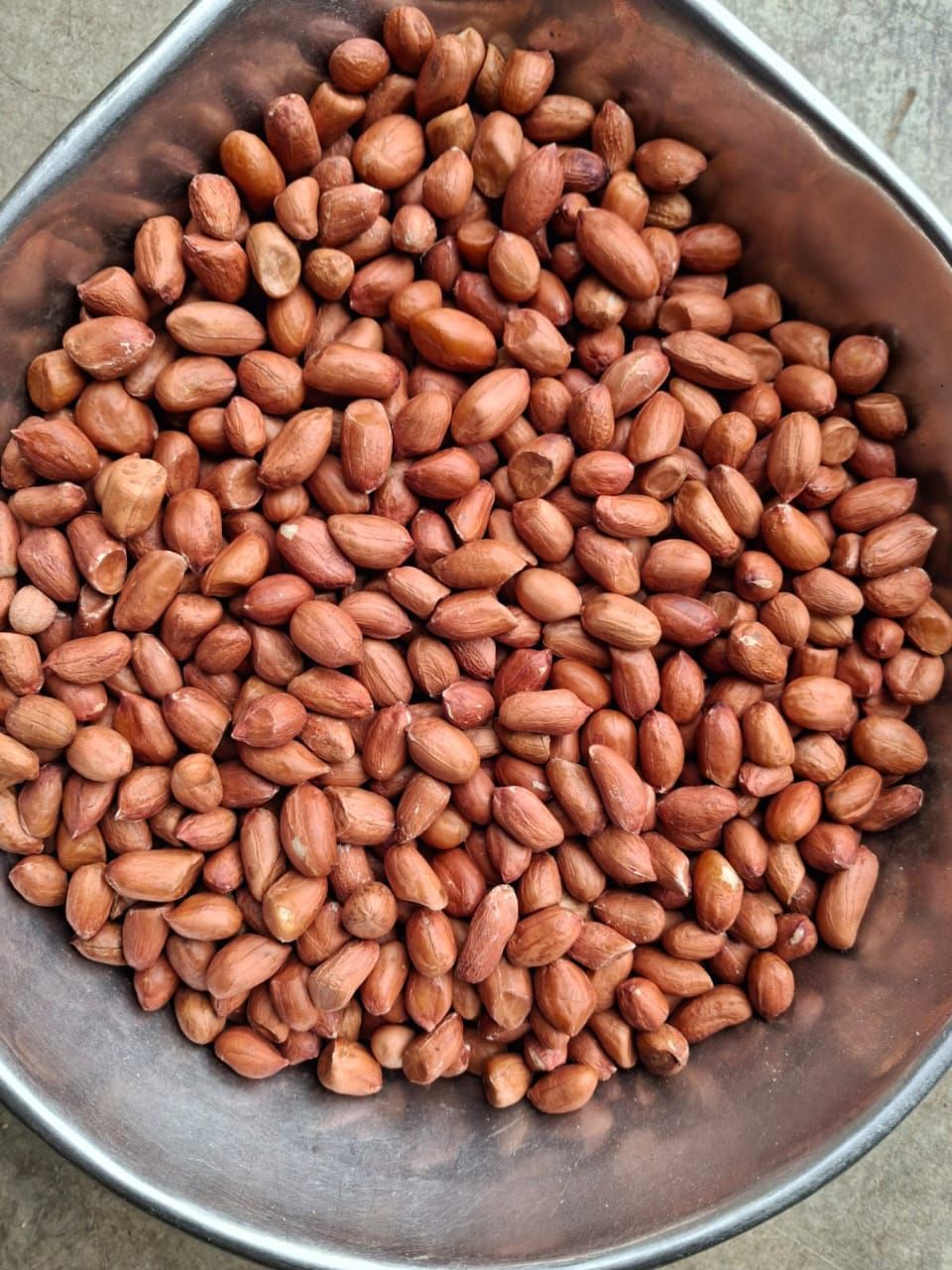 Buy Indian Groundnut / Peanuts from VKS AGROTECH INDUSTRIES, India ...