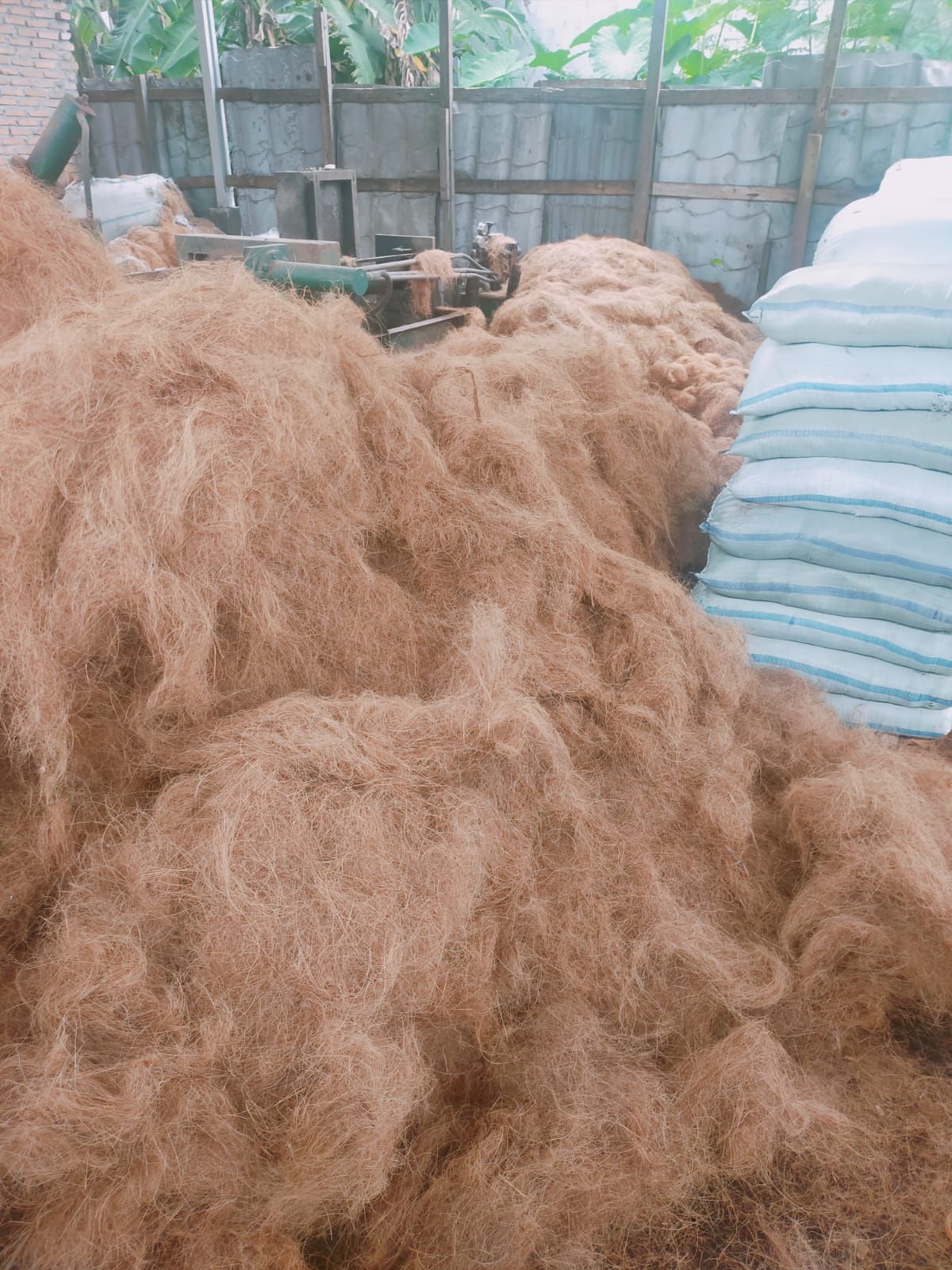 Buy Coconut Fiber / Coconut Coir from JID Commodity, Indonesia ...