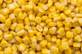 Buy Solid Corn Or Maize from Crop Wholesale & Retail Shop, Bangladesh ...