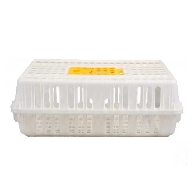 Buy Chicken Transport Cage For Chicken Farms Poultry Equipment For ...