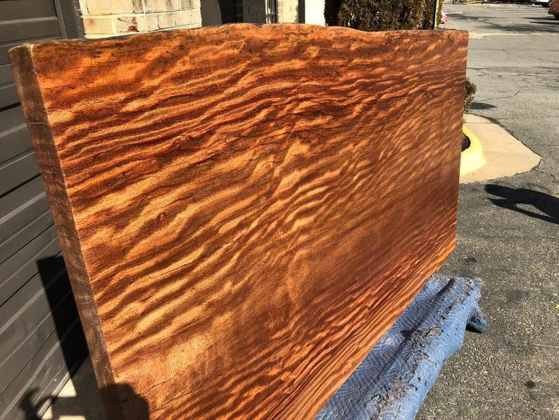Buy Sapele Logs from Phoenix Global International, USA | Tradewheel.com