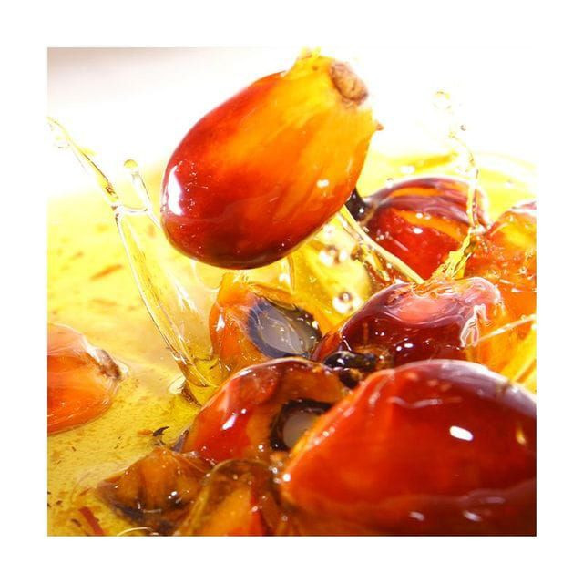 Buy Rbd Palm Olein Cp10 from GREEN TOUCH TRADING SDN. BHD., Malaysia ...