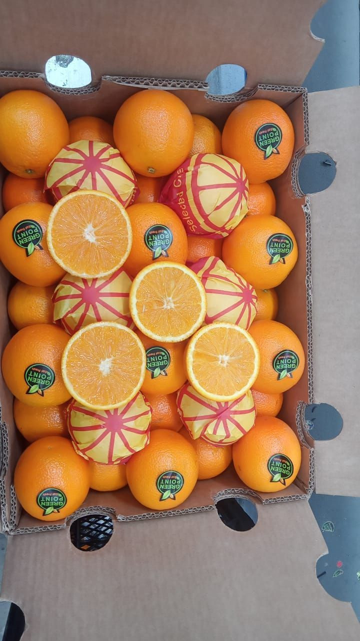 Buy Fresh Valencia Orange from Greenpointcompany, Egypt | Tradewheel.com