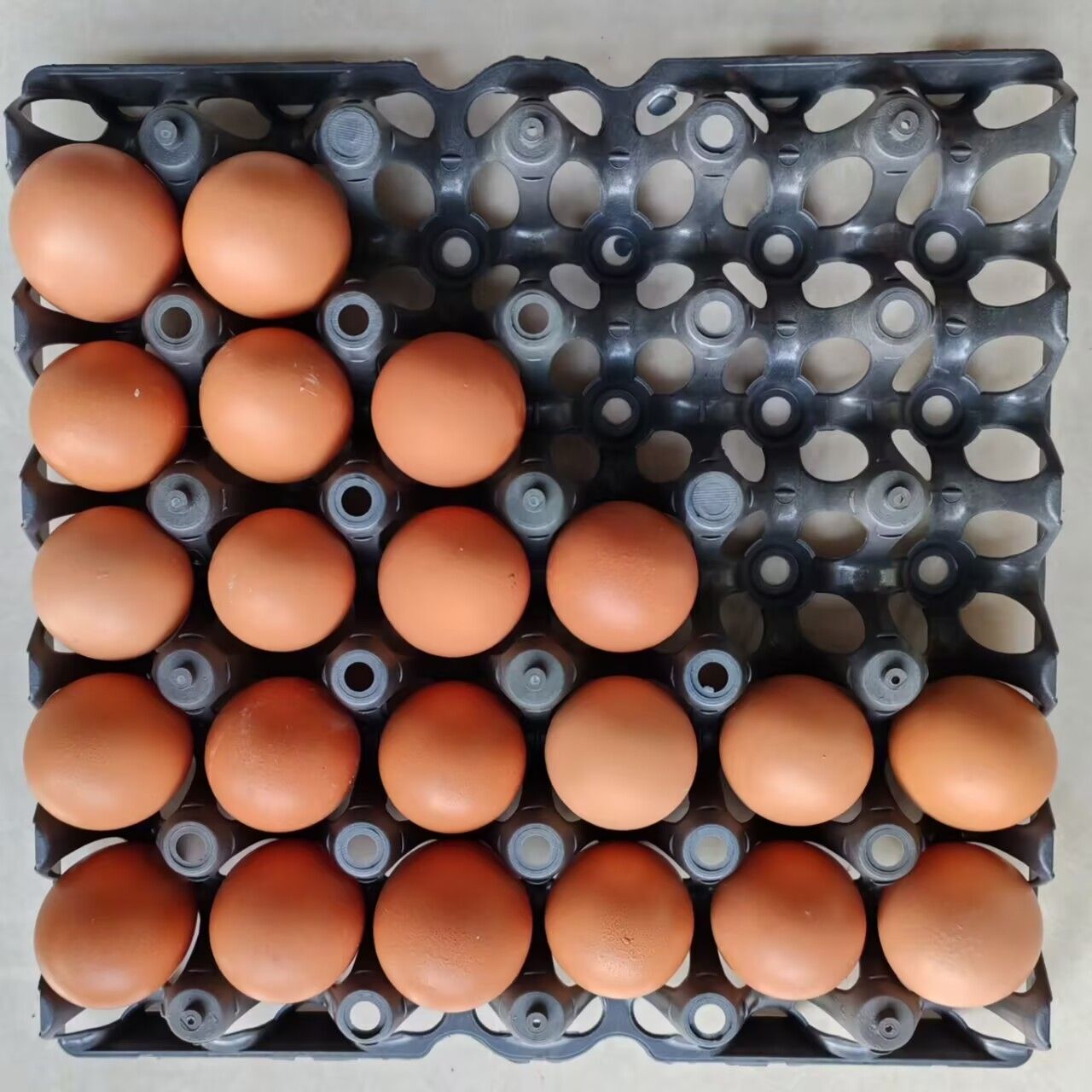 Buy Biodegradable Pla Egg Trays from Zibo Runsheng Biodegradation ...