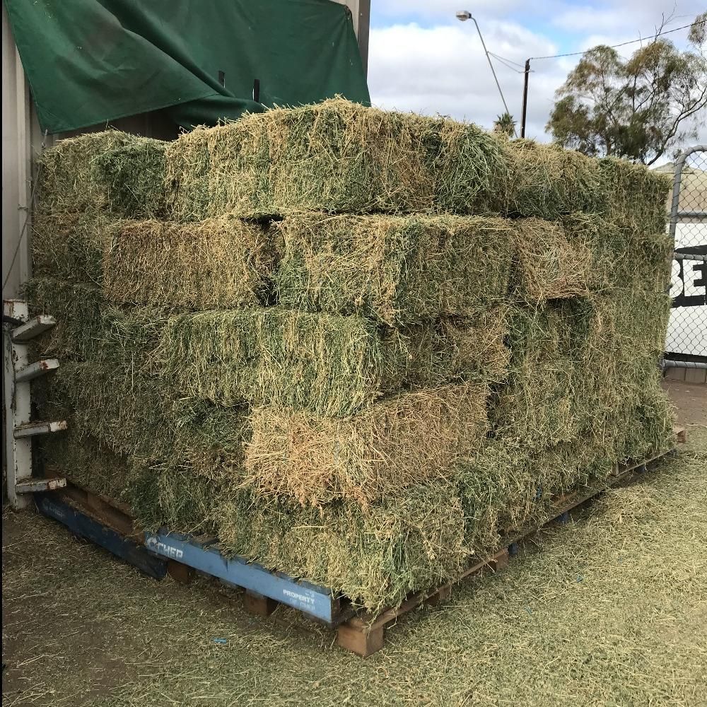 Buy Fresh Lucerne Hay In Bales And Pellets Available For Sale from ...