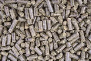 Buy Sugar Beet Pulp Pellets from Makkah for import,export and trading ...