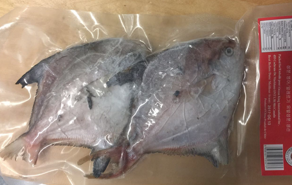 Buy Frozen Silver Pomfret from Hand Foods (Dalian) Co., Ltd., China ...