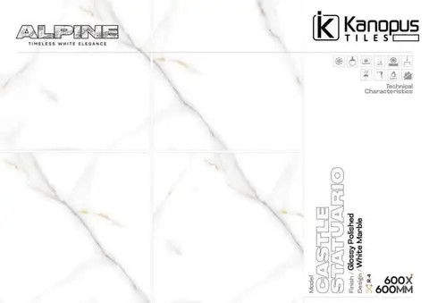 Buy Best Quality Polished Porcelain Tile from KANOPUS INTERNATIONAL ...