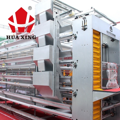 Buy Broiler Steel Structure Building Prefab Poultry House Chicken Farm ...