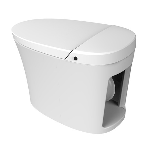 Buy European Standards S-trap Ceramic Bathroom Smart Intelligent Toilet ...