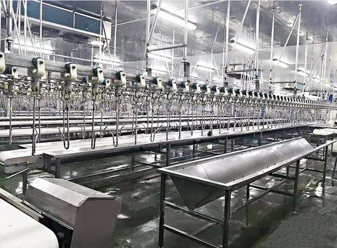 Buy Full-automatic Large Turkey Slaughter Assembly Line Chicken ...