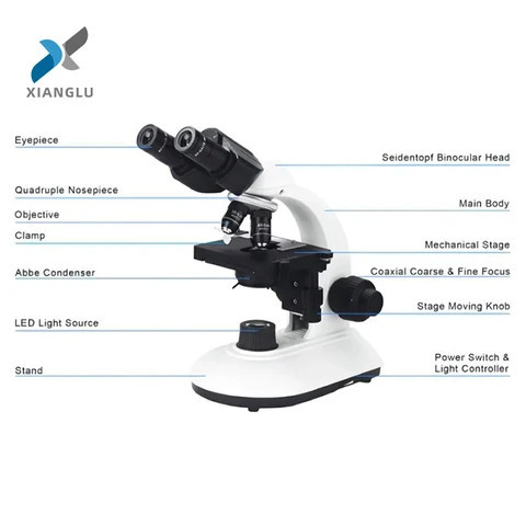 Buy Xianglu Compound Microscope Optics Microscope For Lab Digital ...