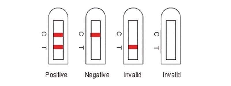 Buy Covid-19 Test Kit Made In China Shows Results In 15 Minutes from ...