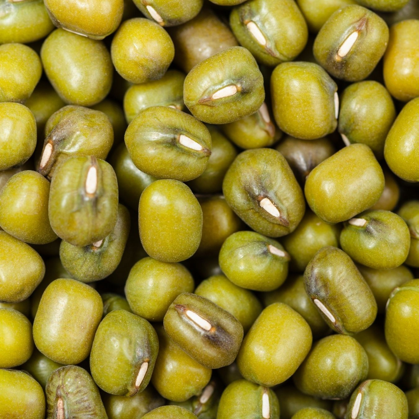 Buy High Quality Green Mung Beans Gmo-free Dried Style 500g Vacuum Pack ...