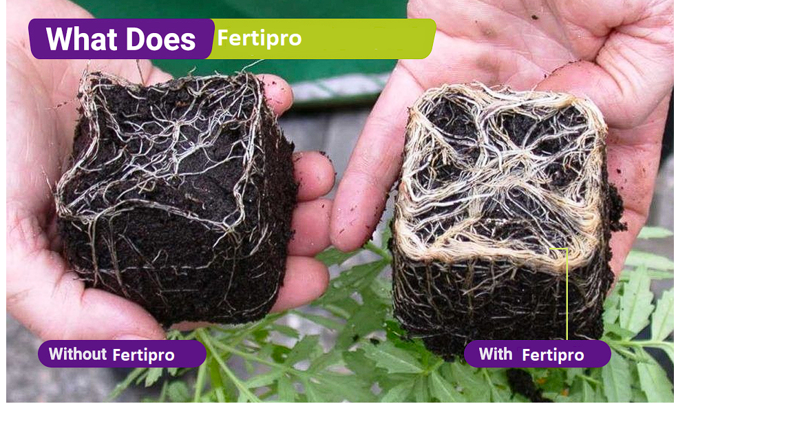 Buy Fertipro from Biopro Solutions, USA | Tradewheel.com