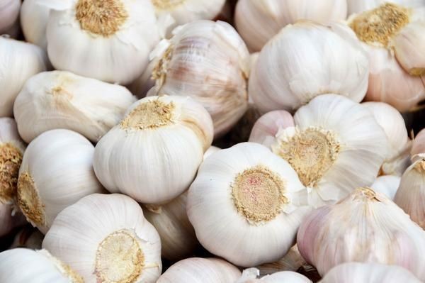 Buy Garlic from weifang aiming import and export trading.,ltd, China ...