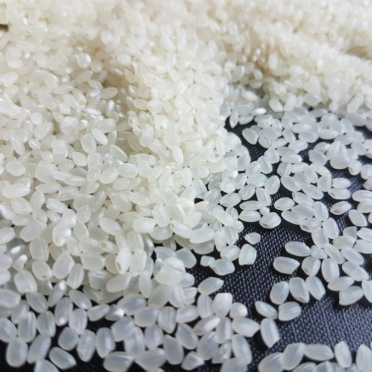 Buy Calrose Rice/ Japonica Rice/sushi Rice From Vietnam from VILACONIC, Vietnam | Tradewheel.com
