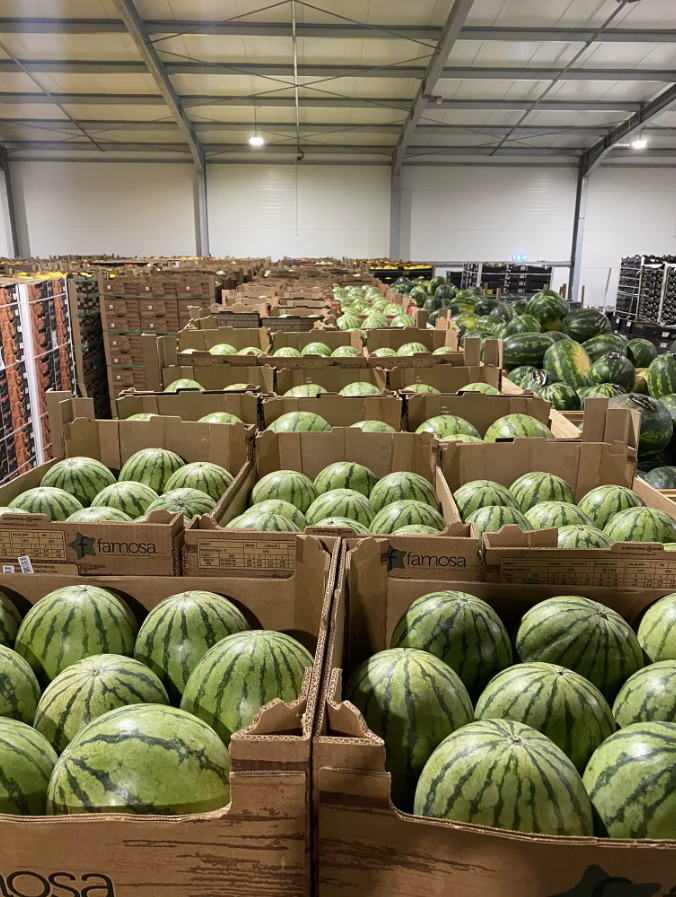 Buy Delicious Watermelon Fruit from Landove International Exports (Pty) Ltd, South Africa ...