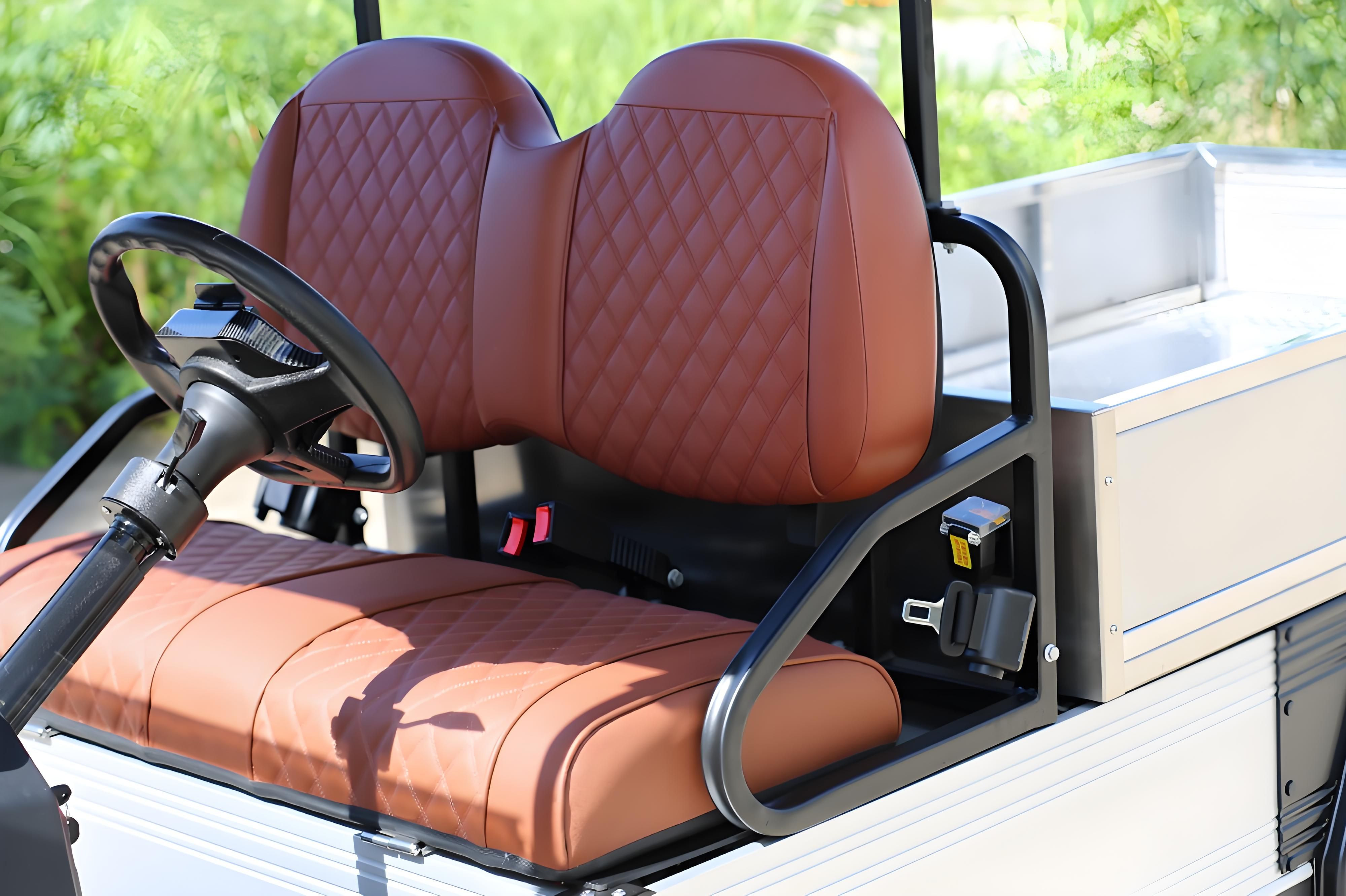 Buy Multi-functional Electrical Golf Carts With Truck Bed Cargo Box ...