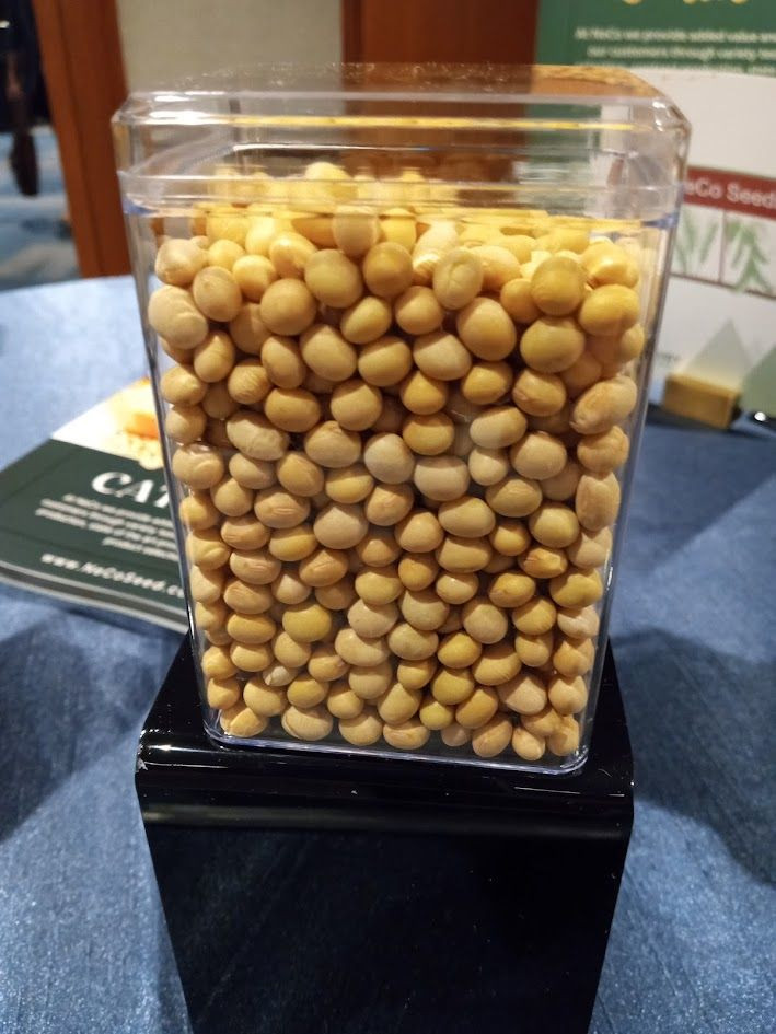 Buy Soybean, Soybean Meal from Tranect USA, USA | Tradewheel.com