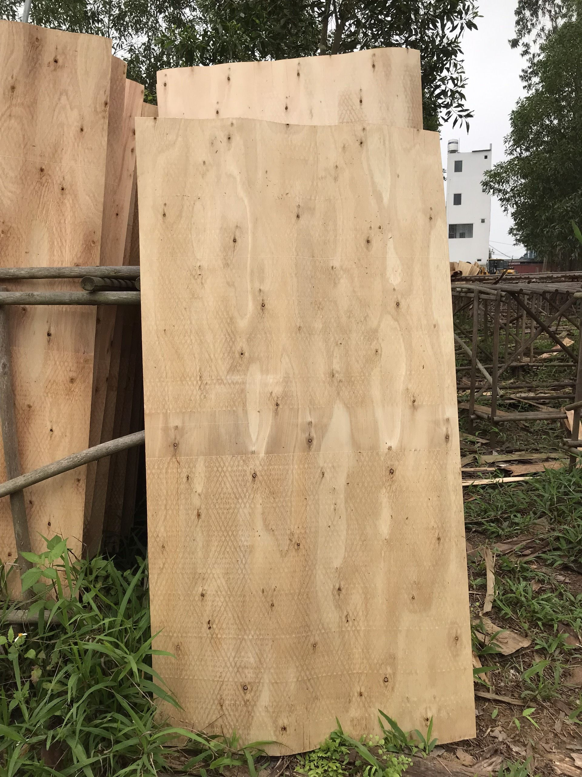 Buy Eucalyptus And Acacia Core Veneer At The Best Price from Gmex, Vietnam | Tradewheel.com