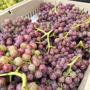 Buy Fresh Red Table Grapes Fruit Seedless Red Globe Grapes from Bright ...