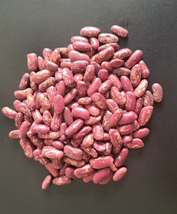 Buy Red Speckled Kidney Beans from Canet Unique Trading Inc., Canada ...