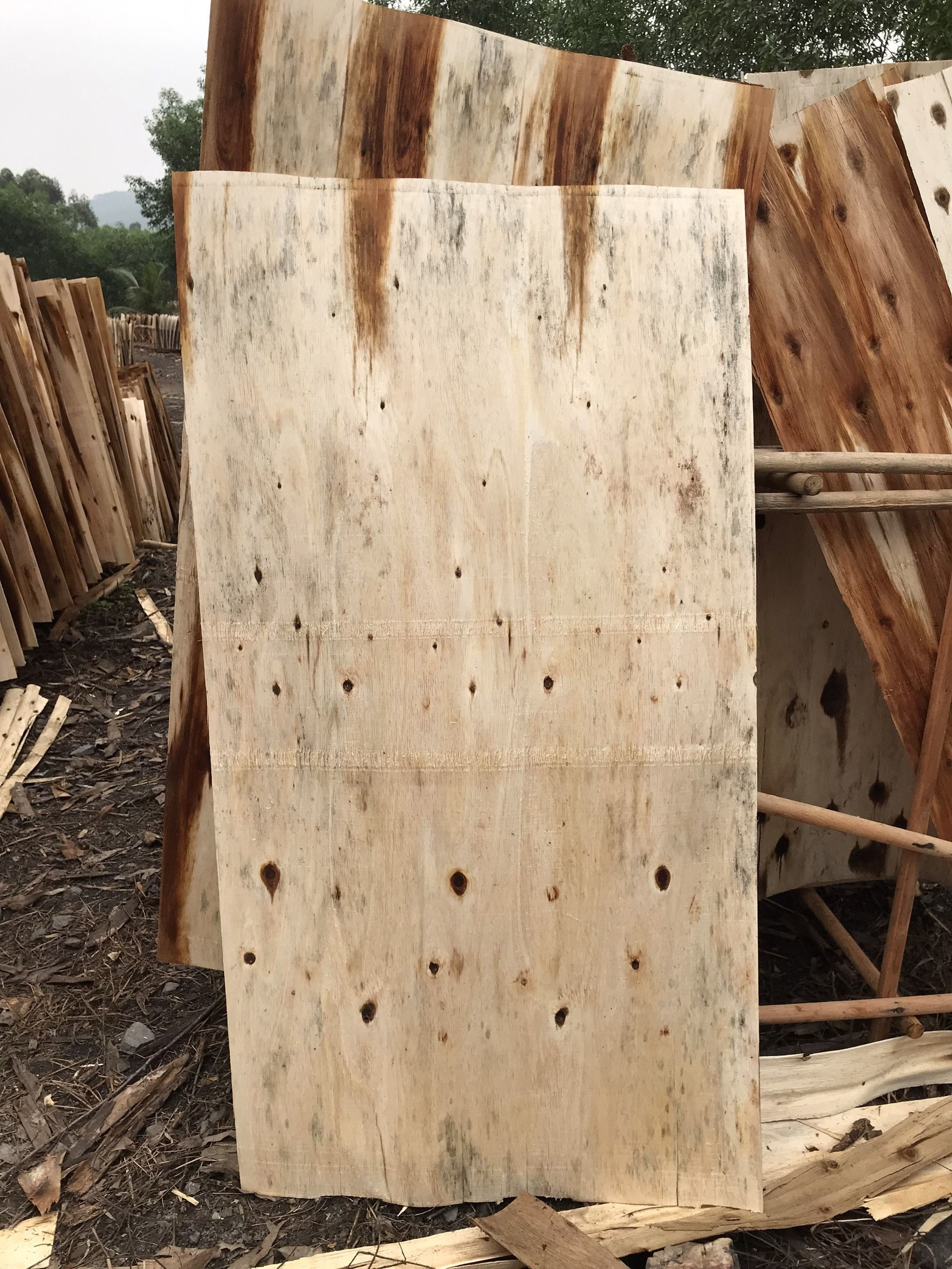Buy Eucalyptus And Acacia Core Veneer At The Best Price from Gmex ...