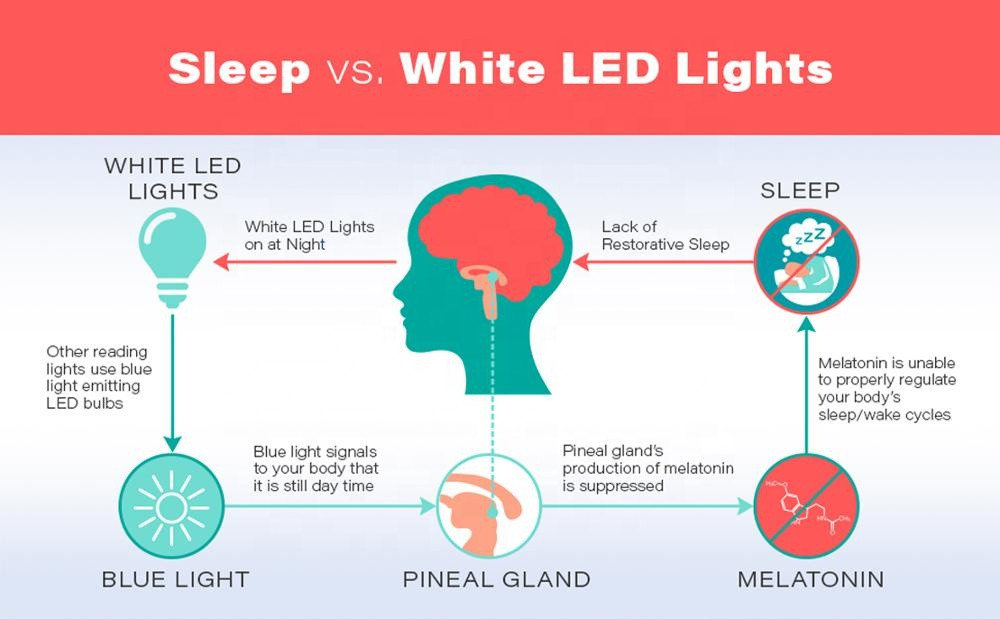 Buy Book Light Blue Blocking Amber Clip-on Reading Light 1600k Warm ...