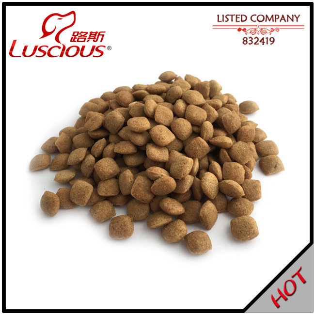 Buy Fish Biscuits Cat Snack Dog Treats Pet Food Manufacture from ...