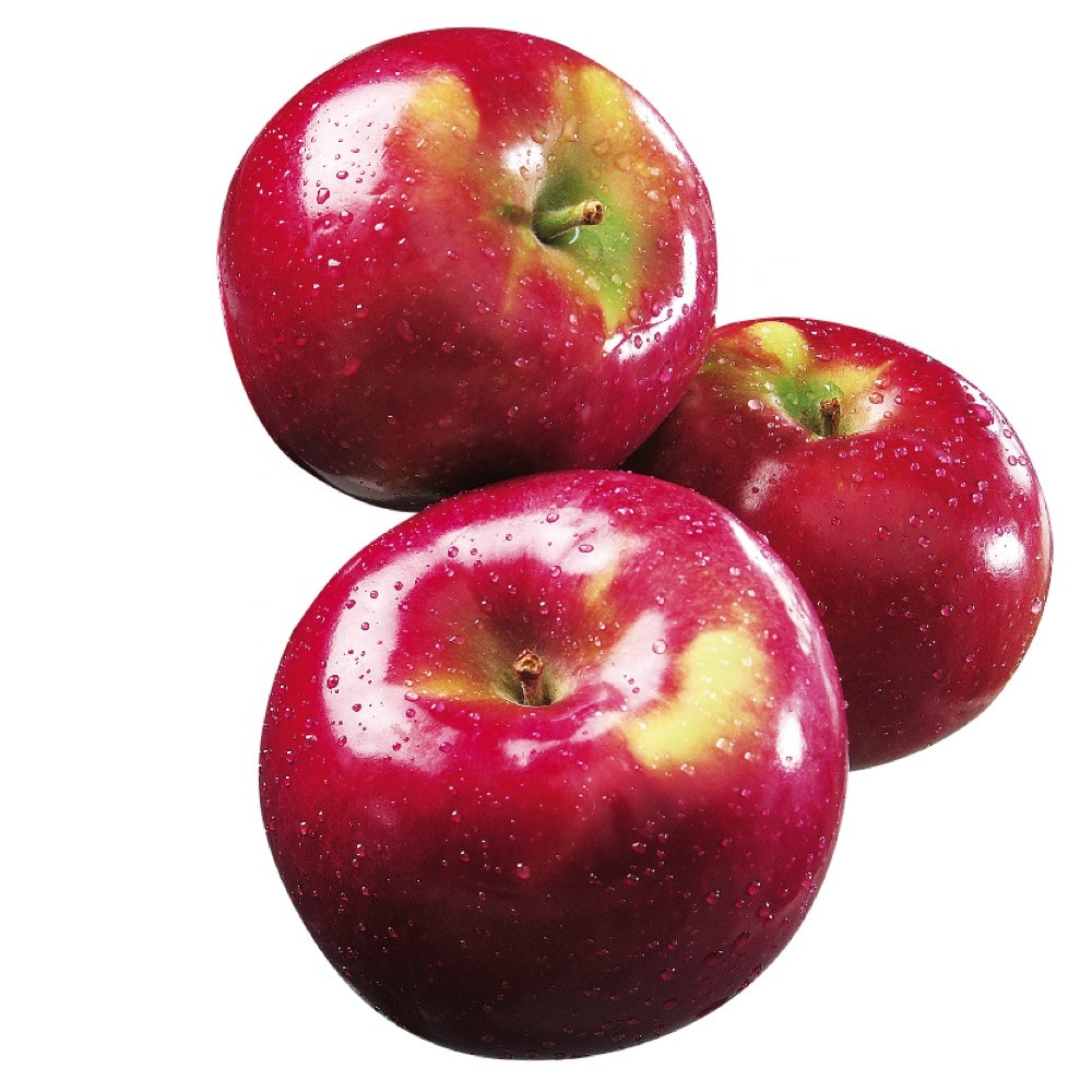 Buy Fresh Red South Africa Apples from P G GLOBAL PTY LTD, South Africa ...