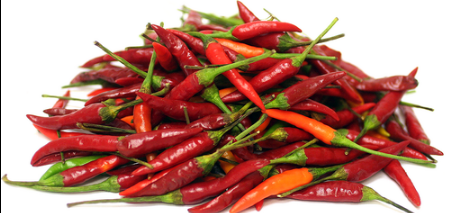 Buy High Quality Hot Red Chili Pepper Good Flavor Dried Chili Pepper ...