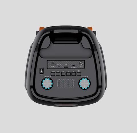 Buy Portable Stereo Subwoofer Bass Party Powerful Stage Battery Party ...