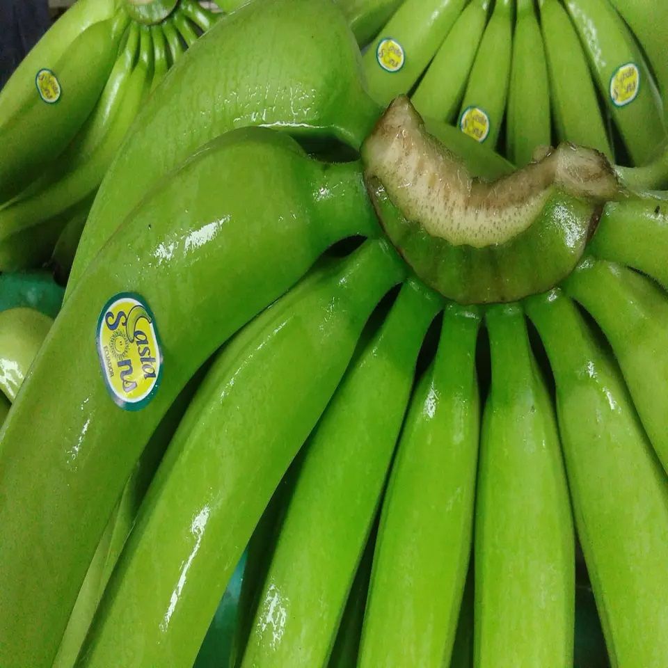 Buy Fresh Premium Bananas from kilsan Cegi Ve Se Dis Tic Ltd Sti ...